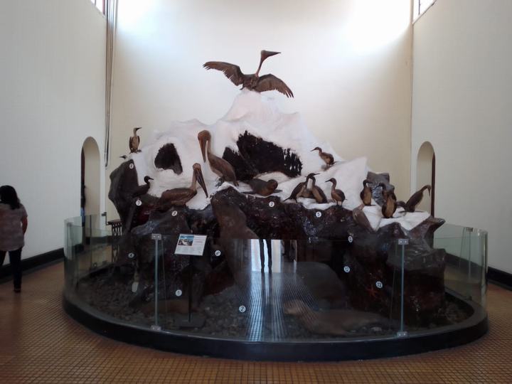 San Marcos presenta al mundo al «Basilosaurio de Ocucaje», monstruo ...