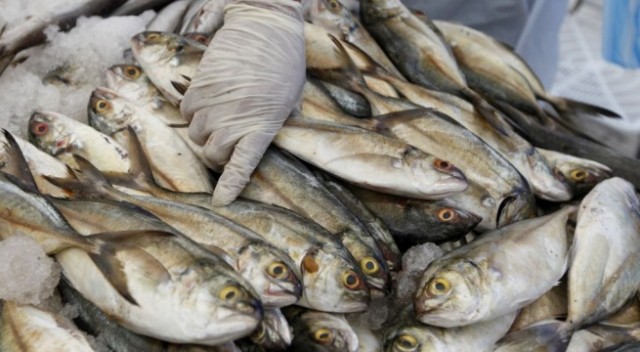 80 Toneladas de pescado gratis recibieron chalacos en semana santa ...