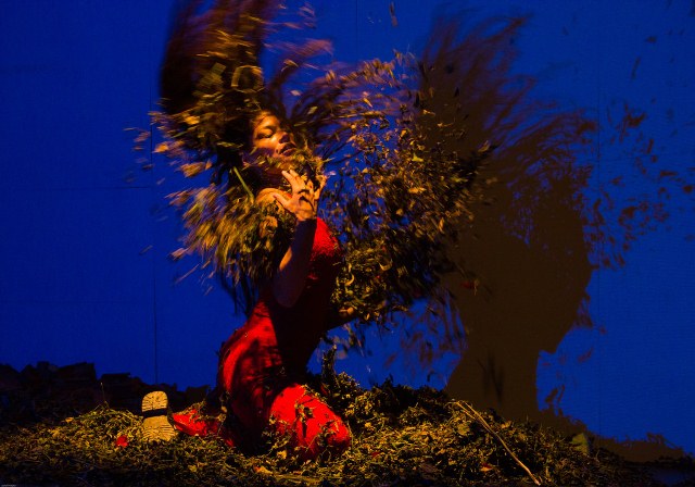 “Carmen”, performance de Guillermo Castrillón en Miraflores ...