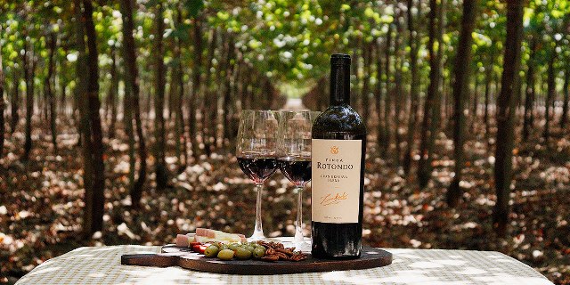 Ruta vitivinícola: Conoce a la primera bodega en producir vinos en lata ...