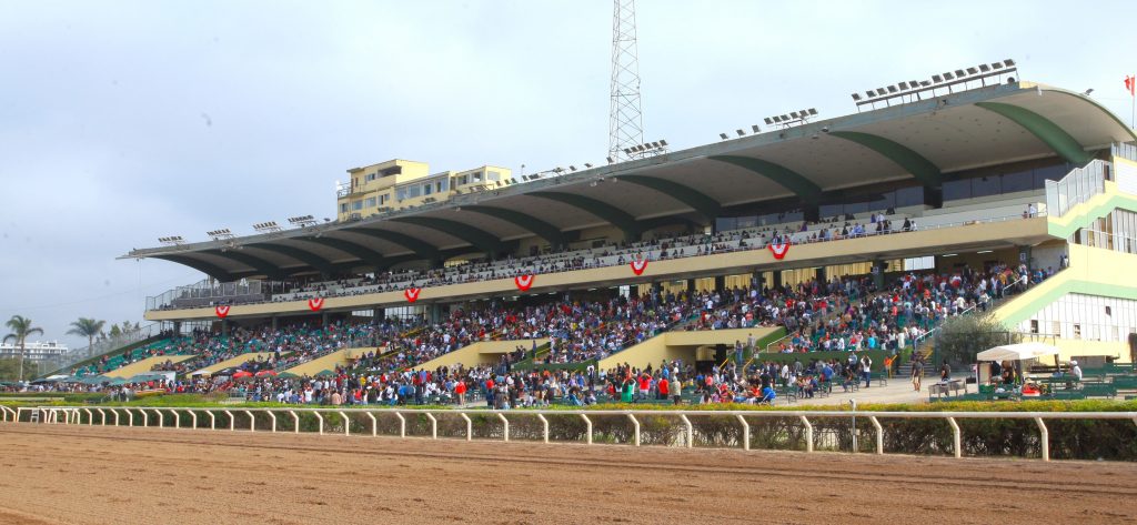 Plan de fin de semana: 5 razones para visitar el Hipódromo de ...
