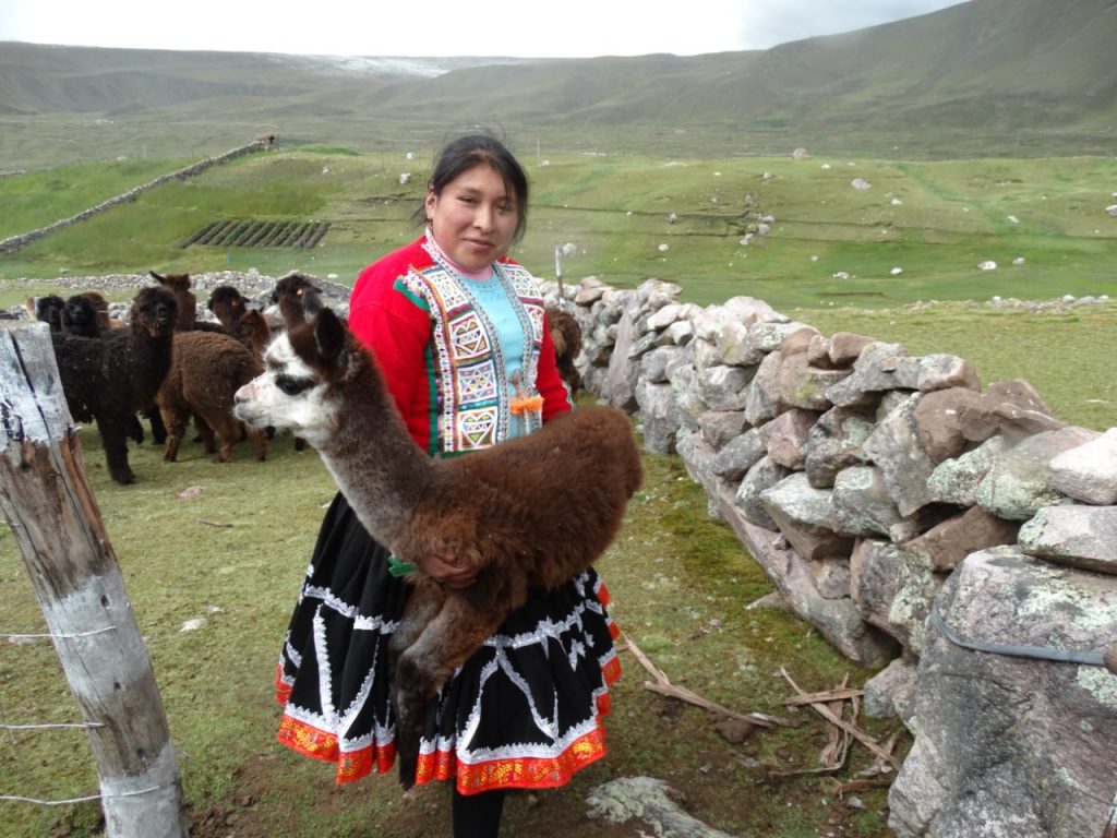 Intervención del MIDAGRI también contempla el fortalecimiento de capacidades para hilado ...